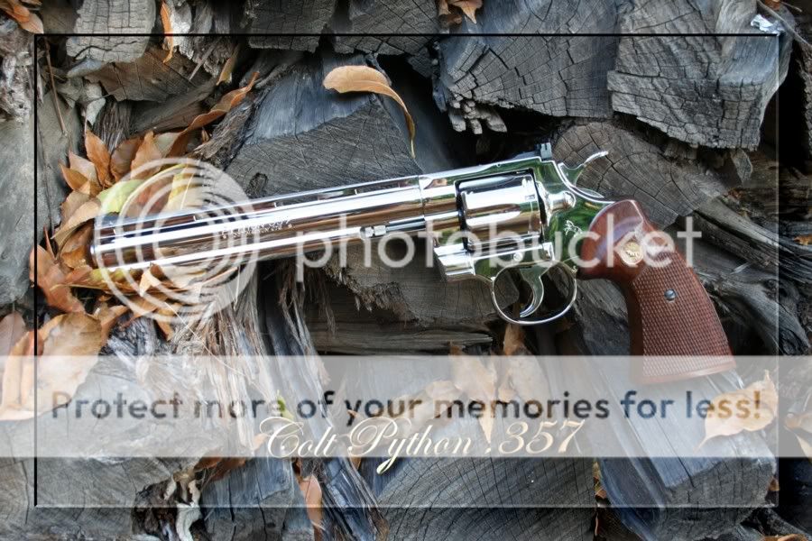 One more addition to the Gunkwazy Pythons | Colt Forum