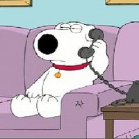 Brian Griffin's Library | Photobucket