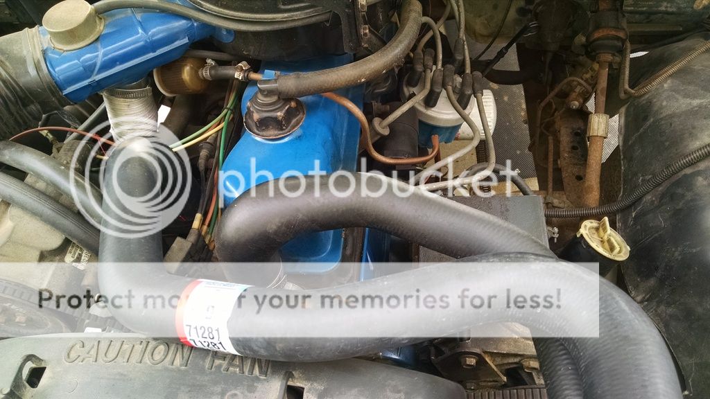 Festus in Florida - Page 9 - Ford Truck Enthusiasts Forums